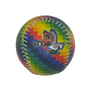 Beloit Sky Carp – Minor League Baseball Official Store