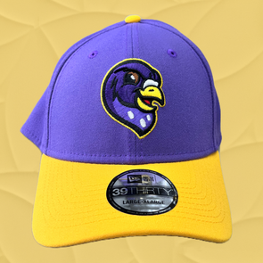 Akron RubberDucks – Minor League Baseball Official Store